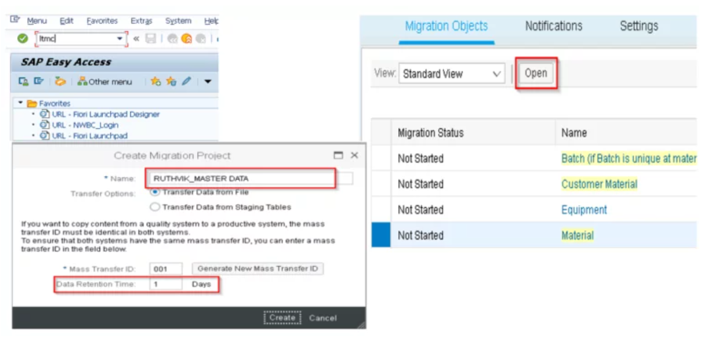 SAP Data Migration Services - aeviTas
